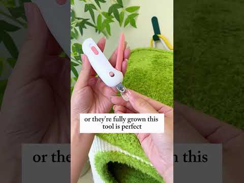 Affordable Claw Care Tool for Cats of All Sizes! link in Channel About Section