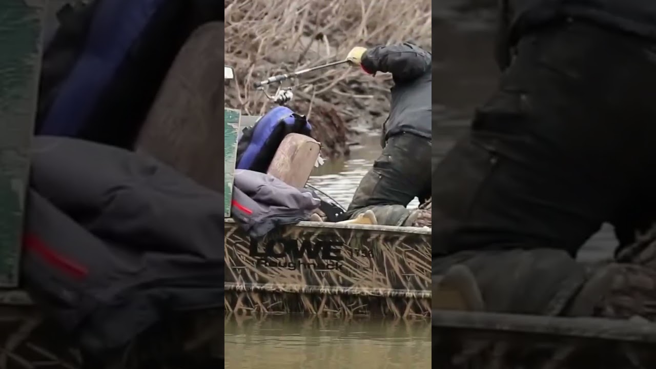 fall fishing for inconnu, Sheefish, coni