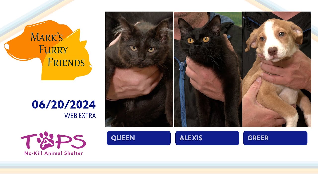 6/20/2024 | Queen, Alexis, Greer | Mark's Furry Friends