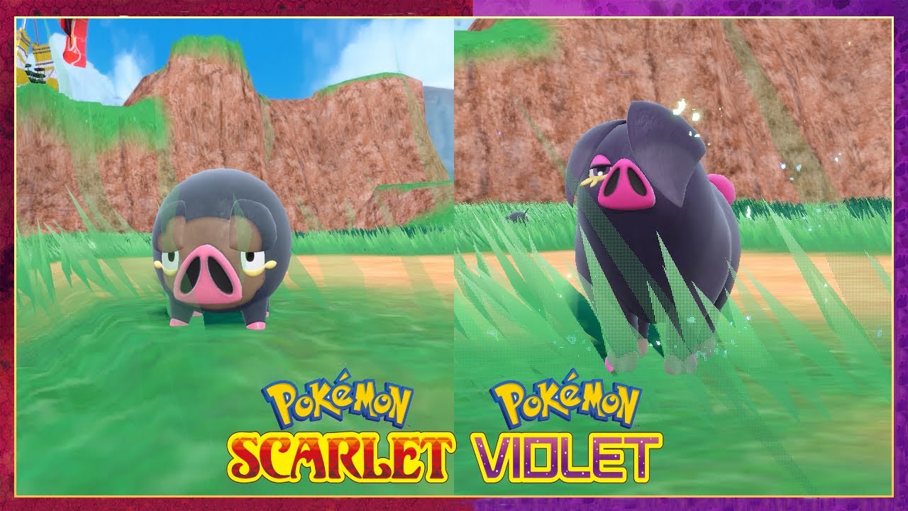 Pokemon Scarlet & Violet How To Evolve Lechonk Into Oinkologne