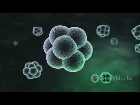 Positive Cell Transport: The Powerhouse of Ion Movement