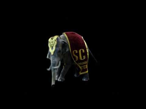 SC International Pictures