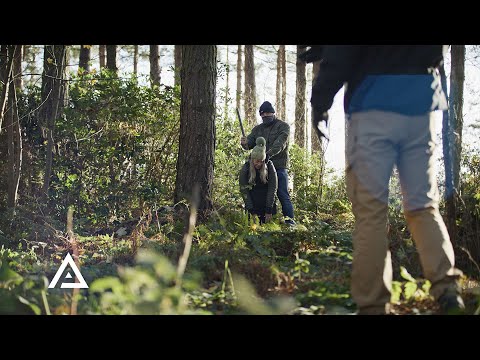 Sizzle Reel 2022