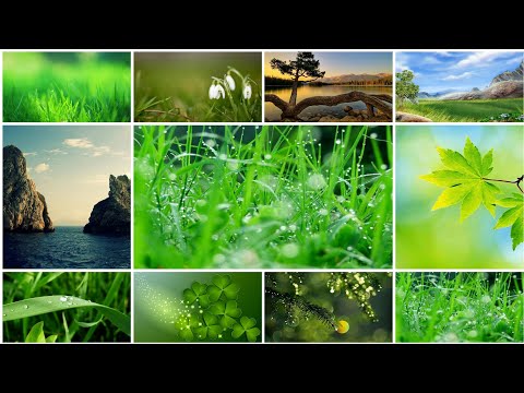 Hd Wallpaper Zip File Free Download – Site Title