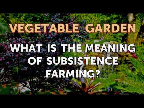 What Is the Meaning of Subsistence Farming?
