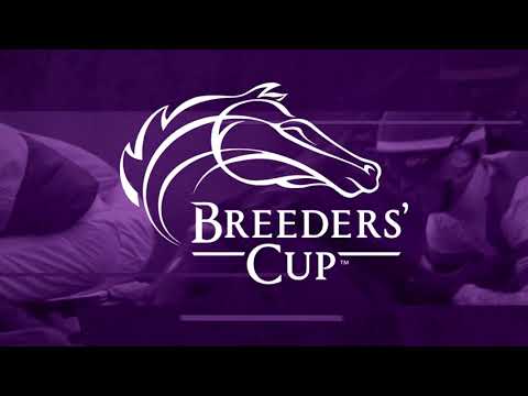 Breeders' Cup's Betting 101: Exacta, Trifecta, & Superfecta