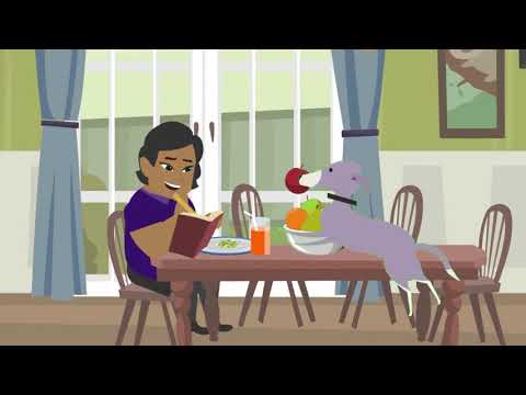 Prediabetes Nutrition: Counseling