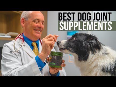 Best Joint Supplements for Dogs | Canine Health