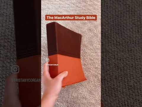 Top 3 Study Bible Recommendations⭐️