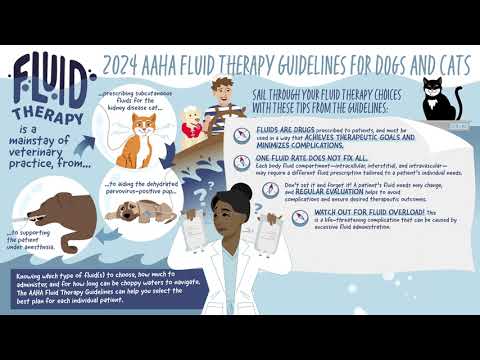2024 AAHA Fluid Therapy Guidelines for Dogs and Cats Summary