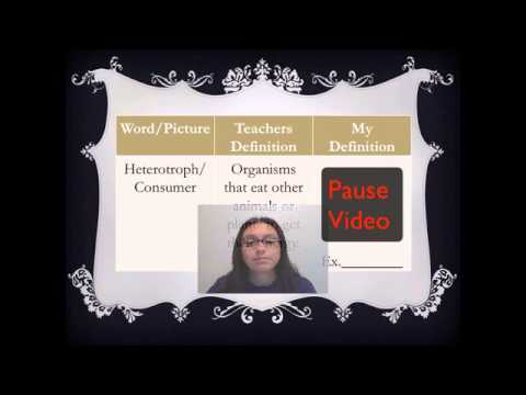 Ecology Vocabulary