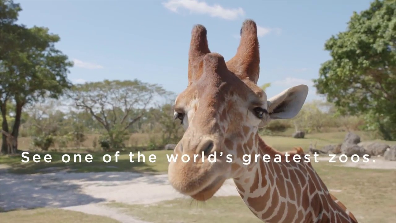 Zoo Miami | Miami & Miami Beach