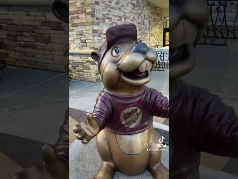 Grand Opening at the World's Largest Buc-ee's Convenience Store Part 3
