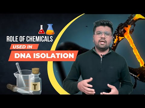 Role of chemicals used in DNA isolation