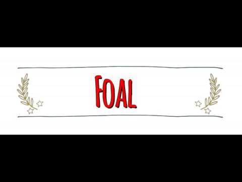 American vs Australian Accent: How to Pronounce FOAL in an Australian or American Accent