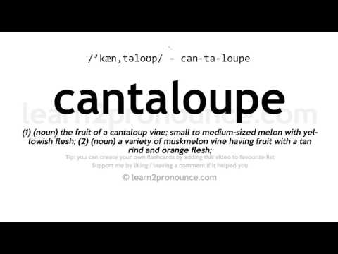 Pronunciation of Cantaloupe | Definition of Cantaloupe