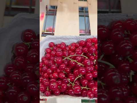 Do you know the name of these berries? Let me know in the comments! #germany #fruit