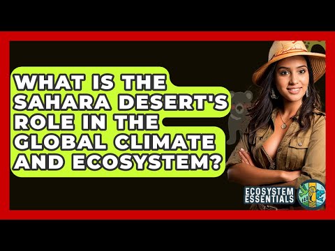 What Is The Sahara Desert's Role In The Global Climate And Ecosystem? - Ecosystem Essentials