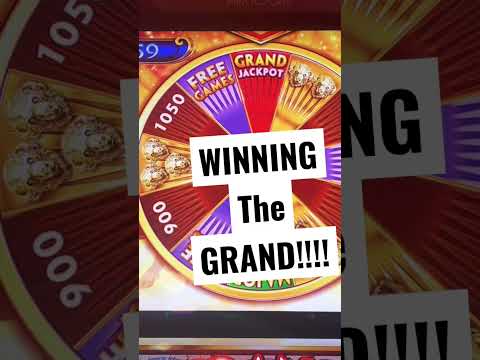 WON the GRAND!!! BUFFALO GOLD REVOLUTION!! #buffalogoldrevolution #grandjackpot #handpay