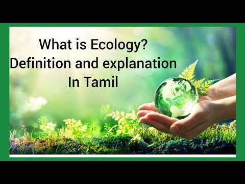What is Ecology? with definition and clear explanation in Tamil