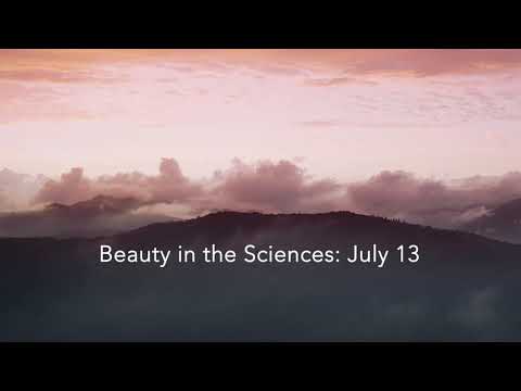 "Beauty" Series Trailer