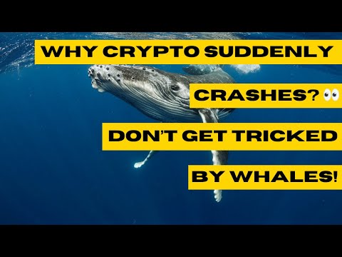 How Crypto Whales Crash the Market 🐋📉 | Bear Raid Explained for Beginners