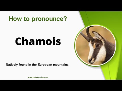 How to pronounce Chamois Correctly in English