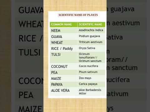 Scientific name of plants/ plant kingdom/science homework/ science knowledge/Scientific fact/cbse