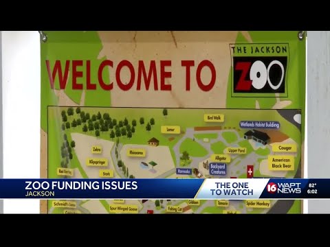 Jackson Zoo funding discussed by city council