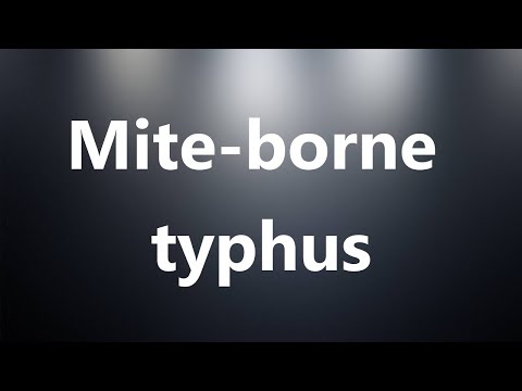 Mite-borne typhus - Medical Meaning and Pronunciation