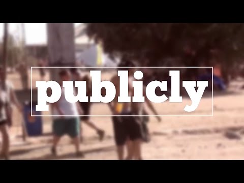 publicly spelling and pronunciation