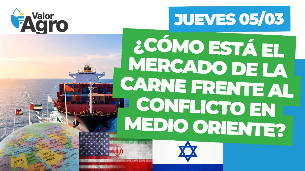 VALOR AGRO - Thursday 05/03 - Markets, international situation, livestock and more