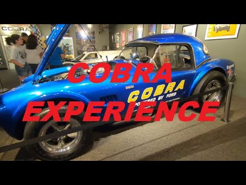 Shelby Mustangs and Cobras at The Cobra Experience Museum & Event Center