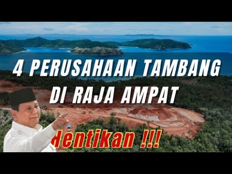 RAJA AMPAT DALAM BAHAYA ,PAK PRABOWO BERTINDAK #rajaampat #papua #tambang #viraltiktok