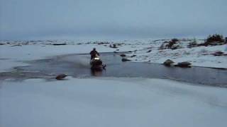 2004 Polaris PRO X 600 Snowmobile Specs, Reviews, Prices, Inventory ...