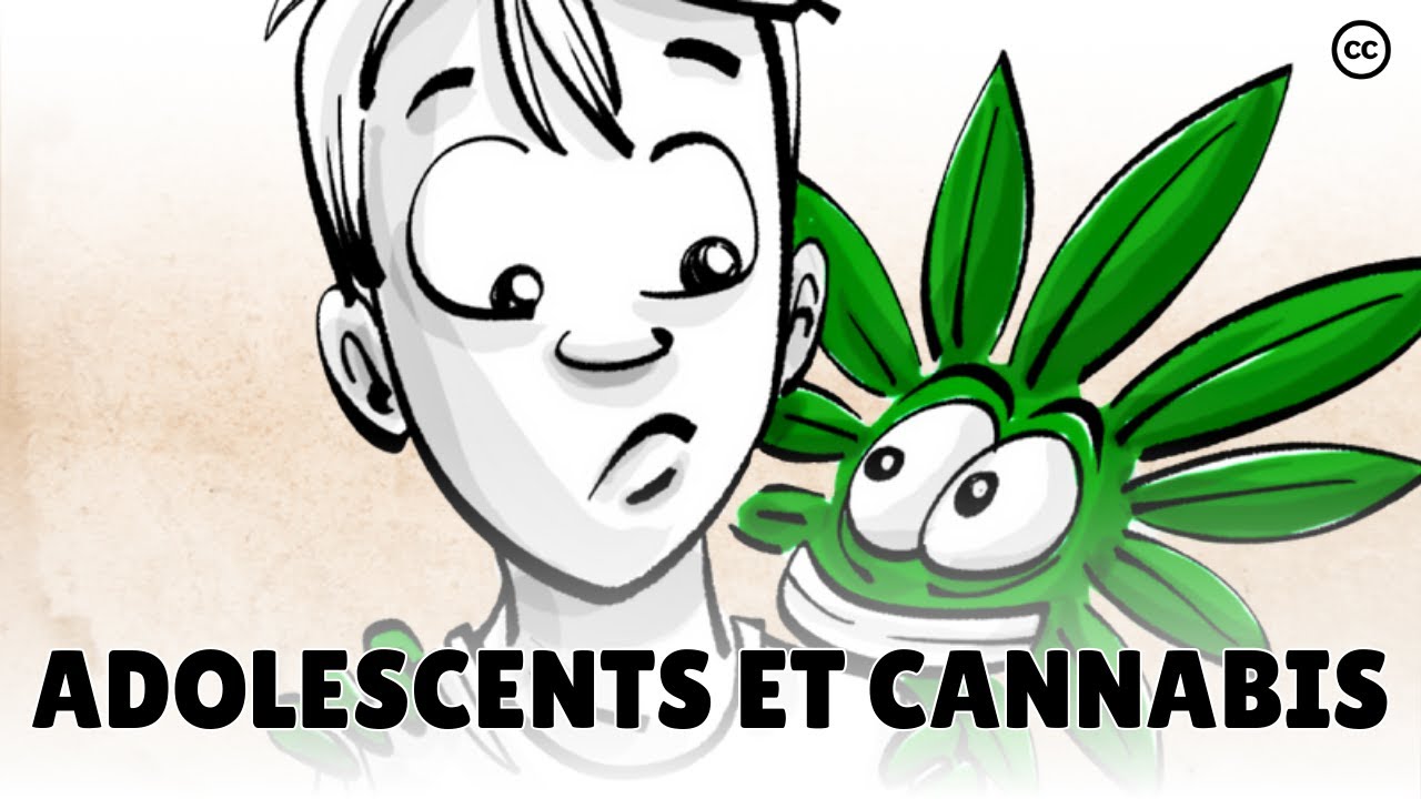 Les effets du cannabis sur le cerveau des adolescents