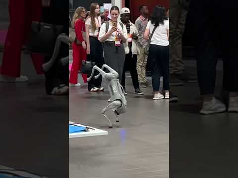 The Main Question at the Women in Tech Summit: The Impact of AI on Women’s Future #ai #tech #summit