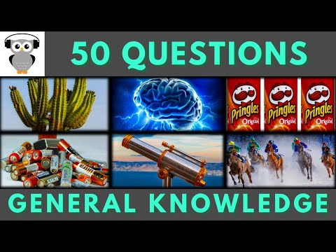 General Knowledge Quiz Trivia #24 | Cactus, Brain Lobe, Pringles, Battery Telescope, Horse Sport