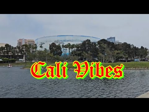 Cali Vibes '25 | Day 1| POV Concert VLOG | Long Beach, CA