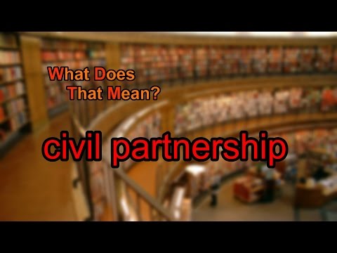 What does civil partnership mean?