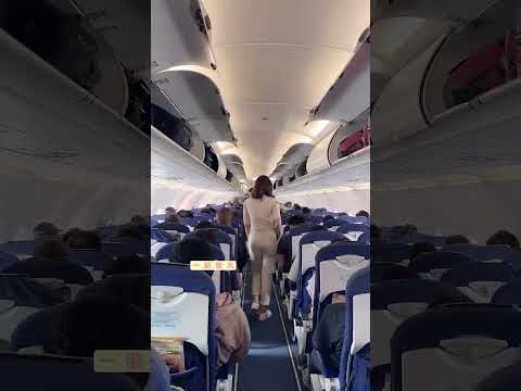 jannu The are Indonesian flight attendants#aeroplane #flight#indrawing#short #travel#trendingsong