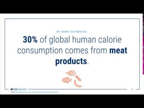 Our Meatless Future