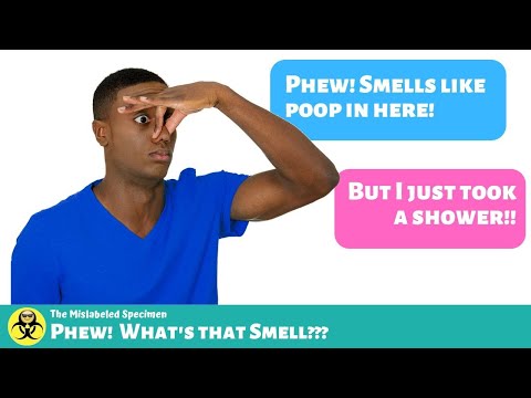 Phew! What’s That Smell??? | Funny Lab Stories