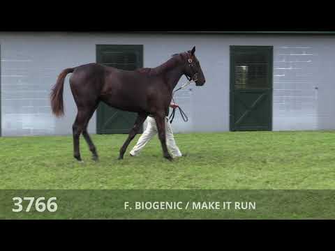 KEESEPT20 Hip #3766 f. Biogenic - Make It Run