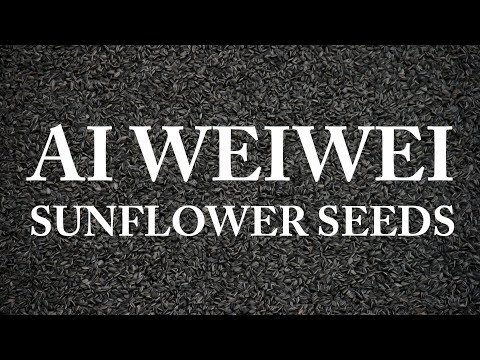 What Can Ai Weiwei's Sunflower Seeds Tell Us About Individuality?