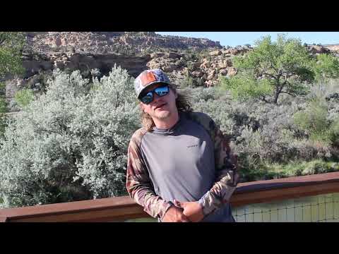 Weekly San Juan River Fly Fishing Report From Our Guides (May 23, 2024)