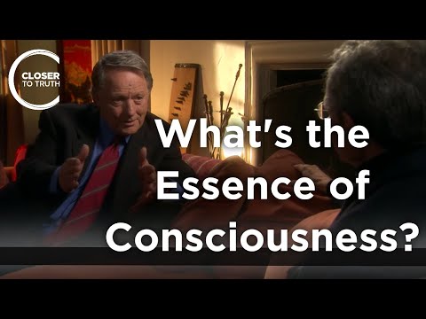 Henry Stapp - What's the Essence of Consciousness?