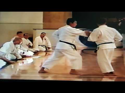 Nagamine Takayoshi Soke explains Neko Ashi movements & applications 2000 Word Seminar