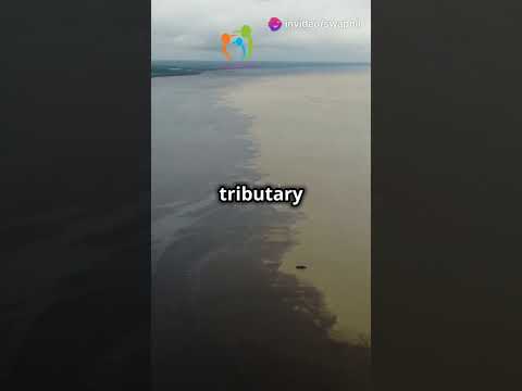 Tributary aur Distributary ka Fark