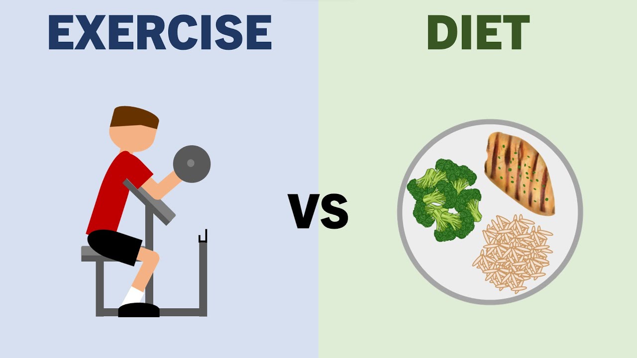 Understanding the Roles of Exercise and Diet in Muscle Growth and Fat ...
